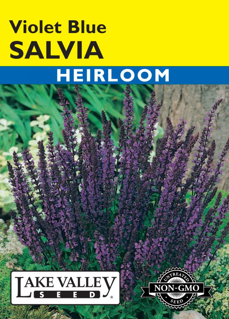 Salvia Violet-Blue - Item #459 - Lake Valley Seed