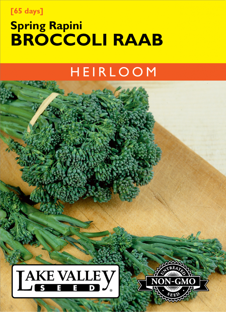 Broccoli Raab Spring (Rapini) - Item #524 - Lake Valley Seed