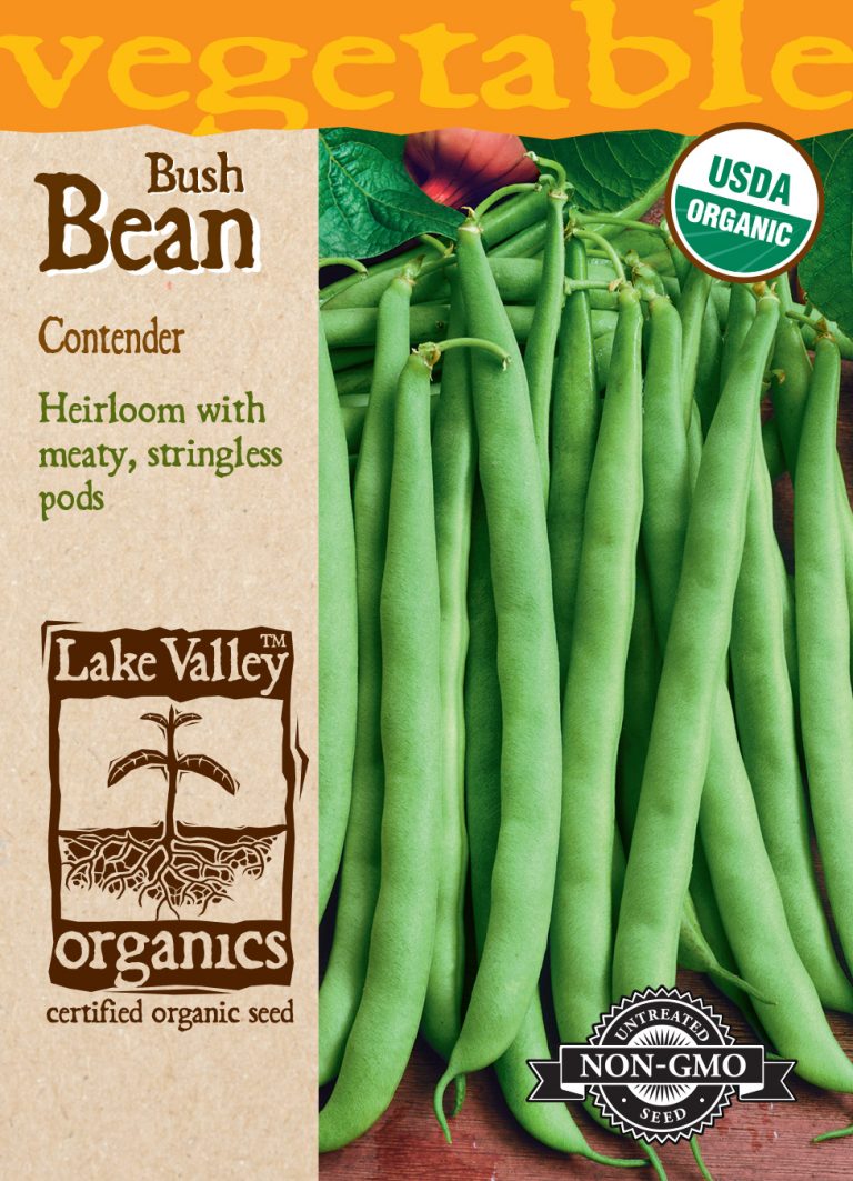Bean (Bush) Contender - Item #554 - Lake Valley Seed