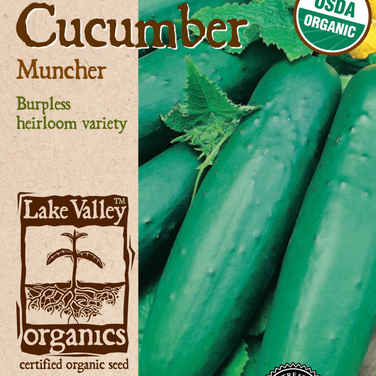 Cucumber Spacemaster - Item #4282 - Lake Valley Seed