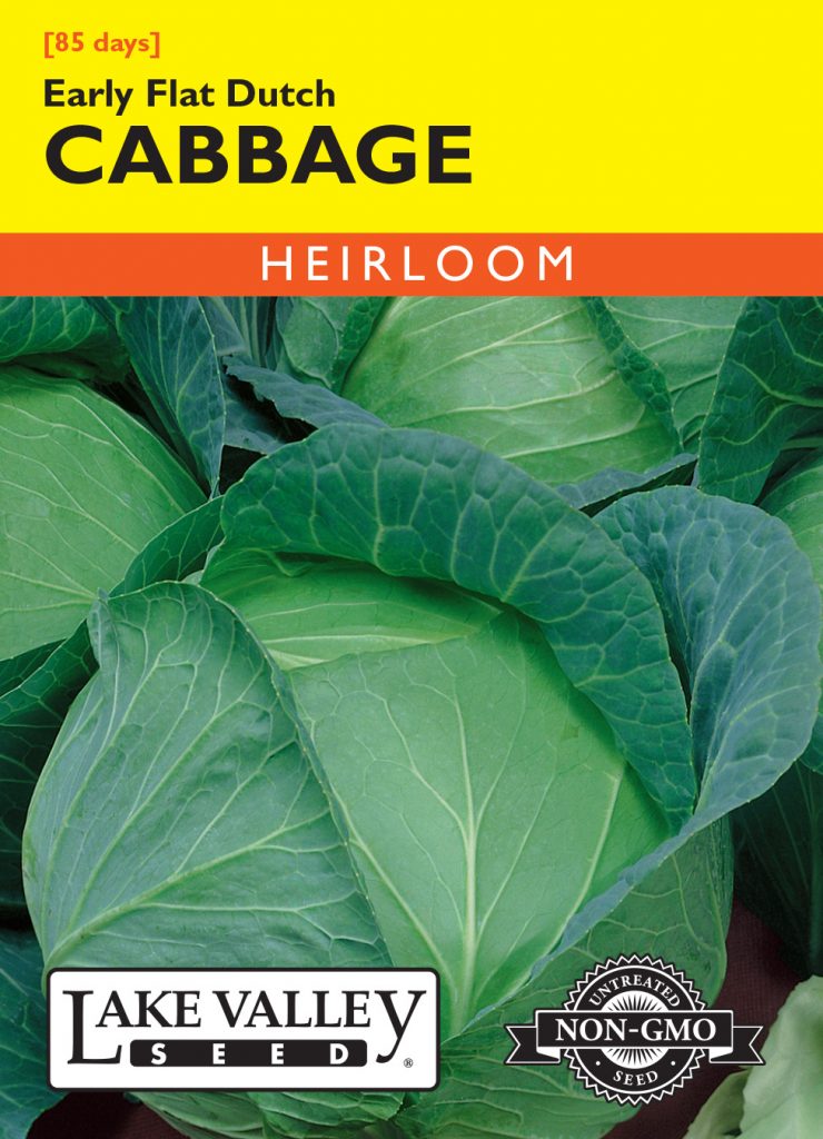 Cabbage Early Flat Dutch - Item #61 - Lake Valley Seed