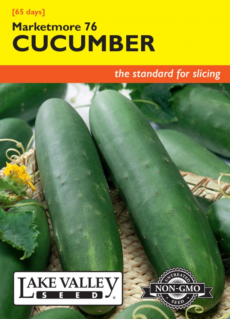 Cucumber Marketmore 76 - Item #610 - Lake Valley Seed