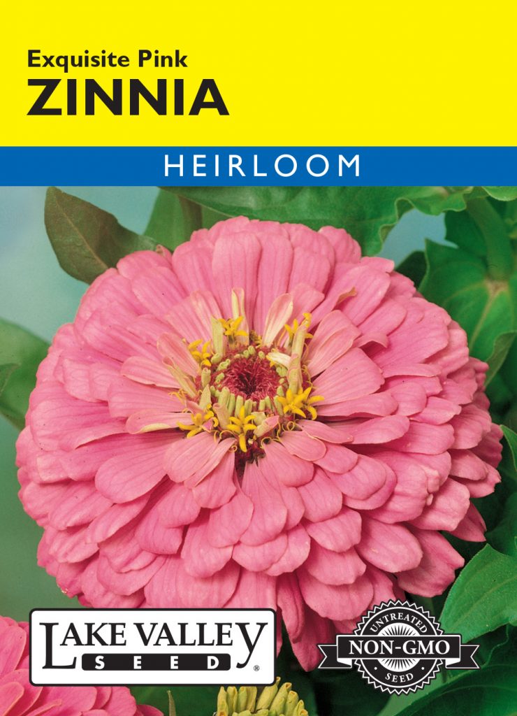 Zinnia Exquisite Pink - Item #615 - Lake Valley Seed