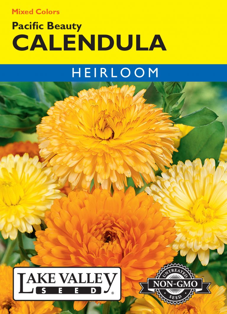 Calendula Pacific Beauty Mixed Colors - Item #63 - Lake Valley Seed