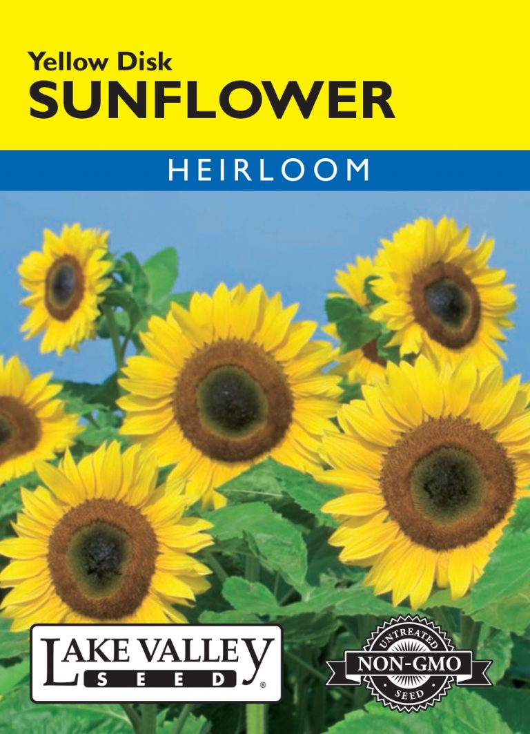 Sunflower Yellow Disk - Item #643 - Lake Valley Seed