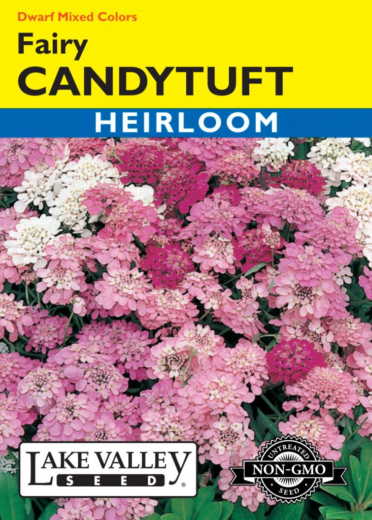 Candytuft Fairy Dwarf Mixed Colors - Item #65 - Lake Valley Seed