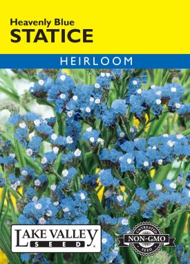 Statice Heavenly Blue - Item #679 - Lake Valley Seed