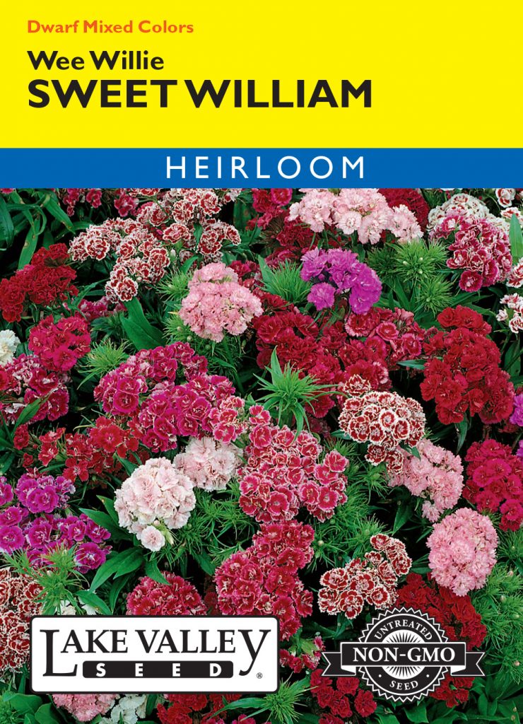 Sweet William Wee Willie Mixed Colors - Item #690 - Lake Valley Seed