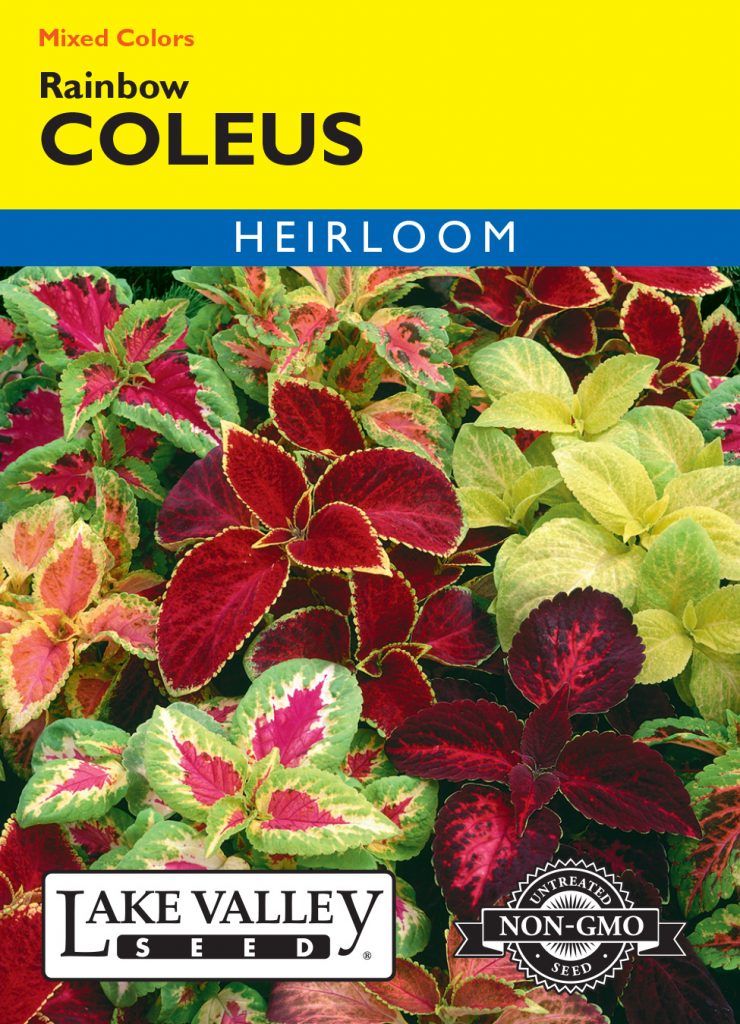 Coleus Rainbow Mixed Colors - Item #95 - Lake Valley Seed
