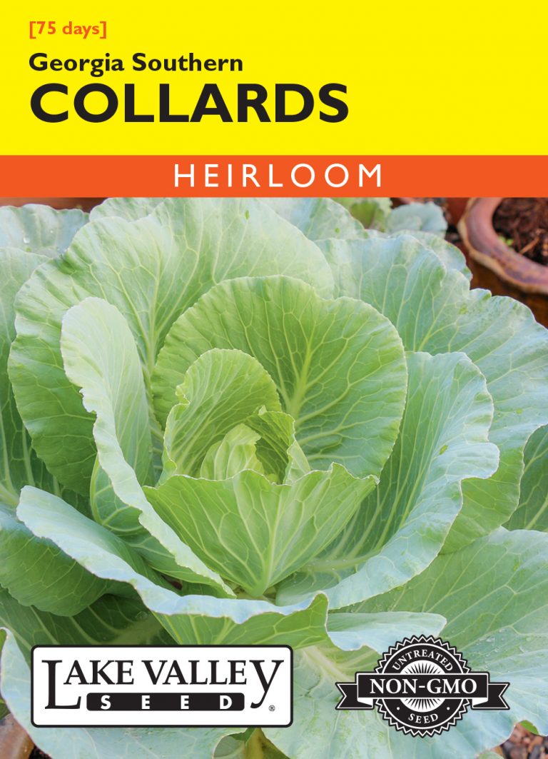 Collards Georgia Southern - Item #96 - Lake Valley Seed