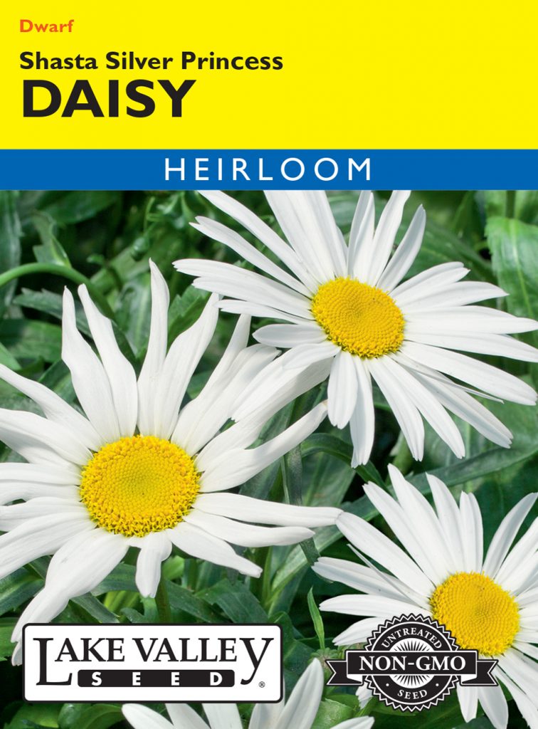 Daisy Shasta Silver Princess - Item #587 - Lake Valley Seed