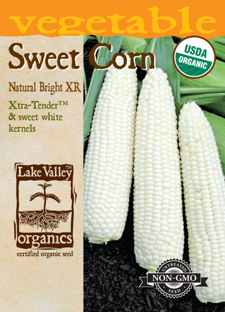 Corn Natural Bright - Item #4668 - Lake Valley Seed