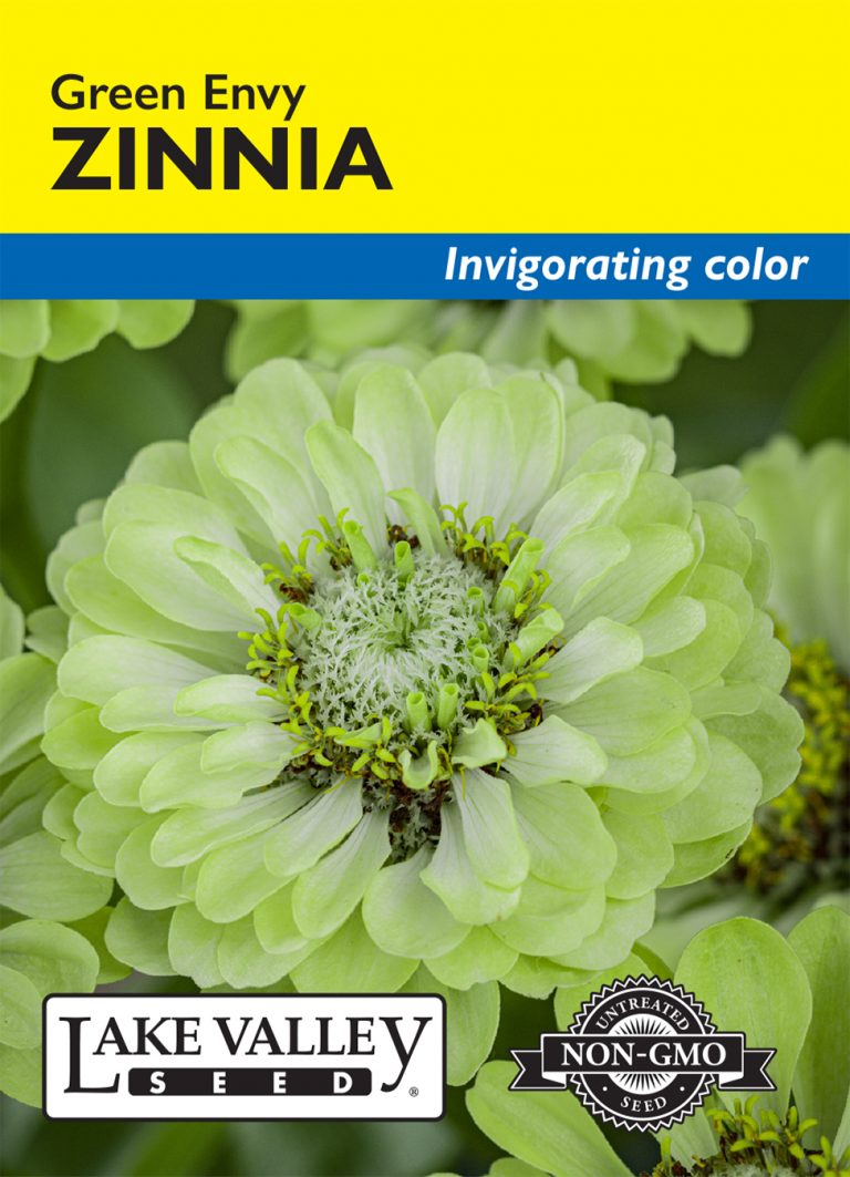 Zinnia Green Envy - Item #4682 - Lake Valley Seed