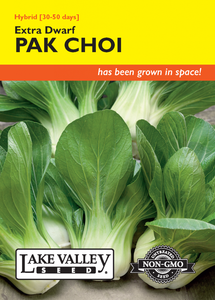Pak Choi Extra Dwarf - Item #4719 - Lake Valley Seed