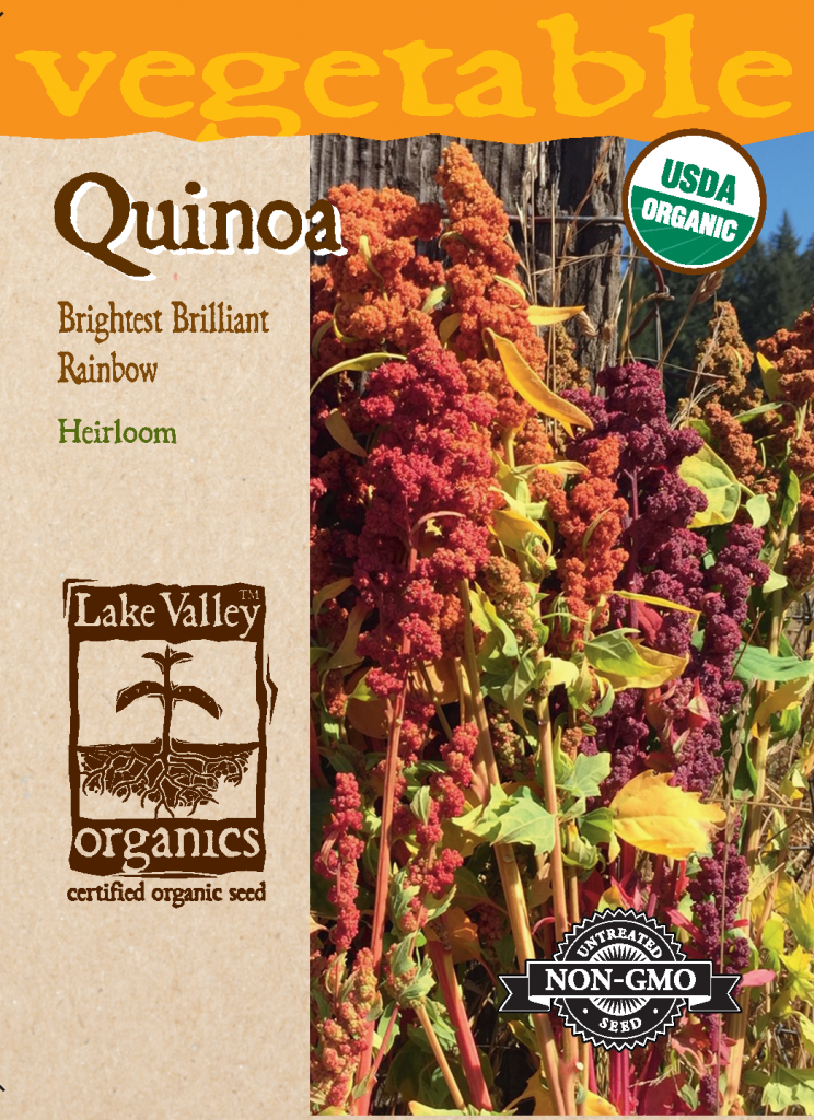Quinoa Brightest Brilliant Rainbow - Item #4730 - Lake Valley Seed