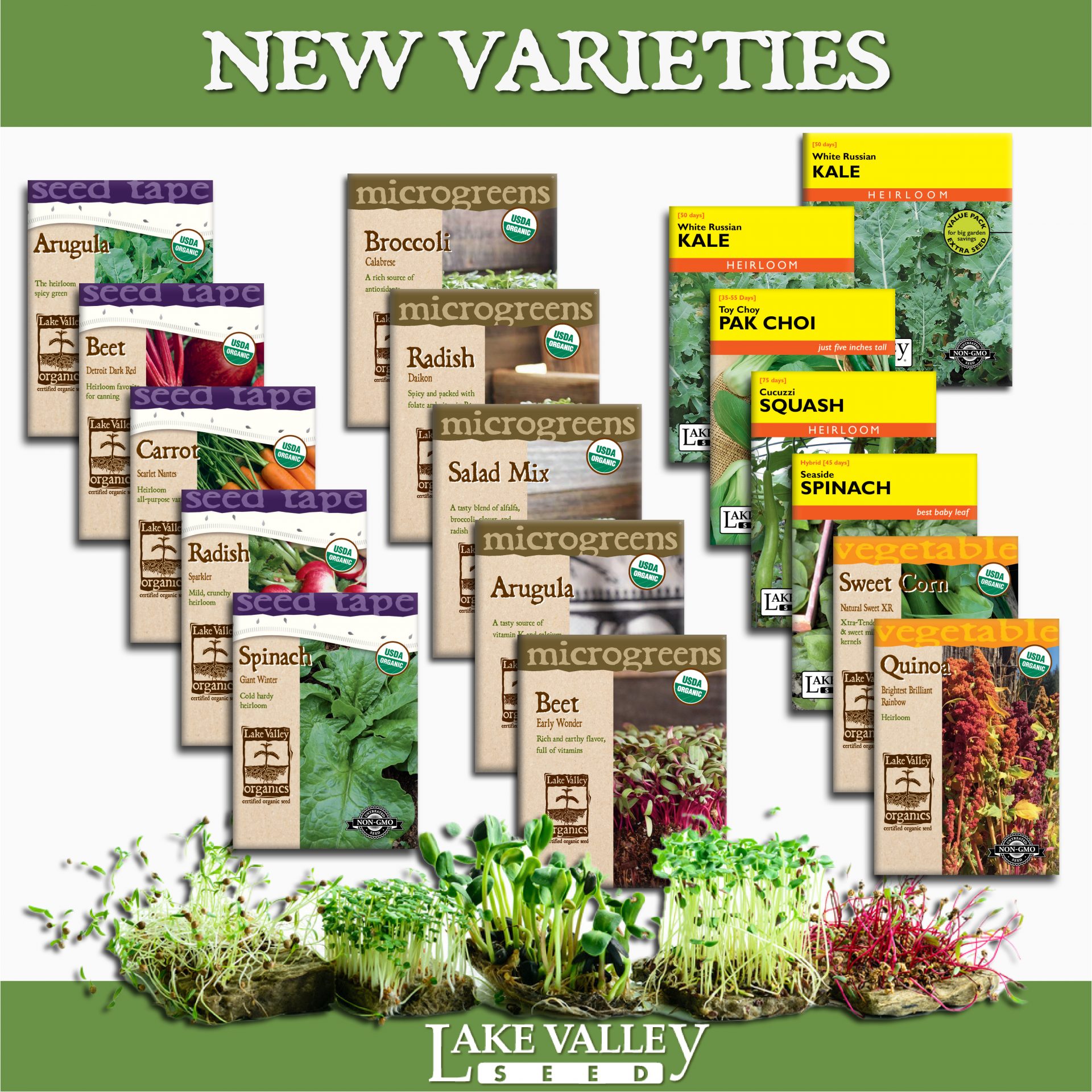 Shop - Lake Valley Seed